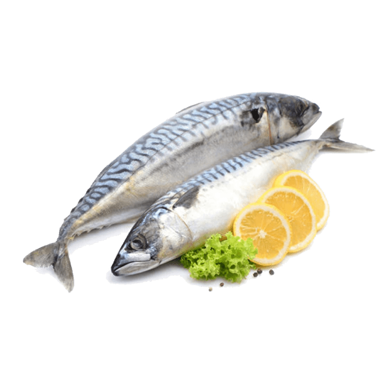 Macrou Congelat kg | Market Gradimex